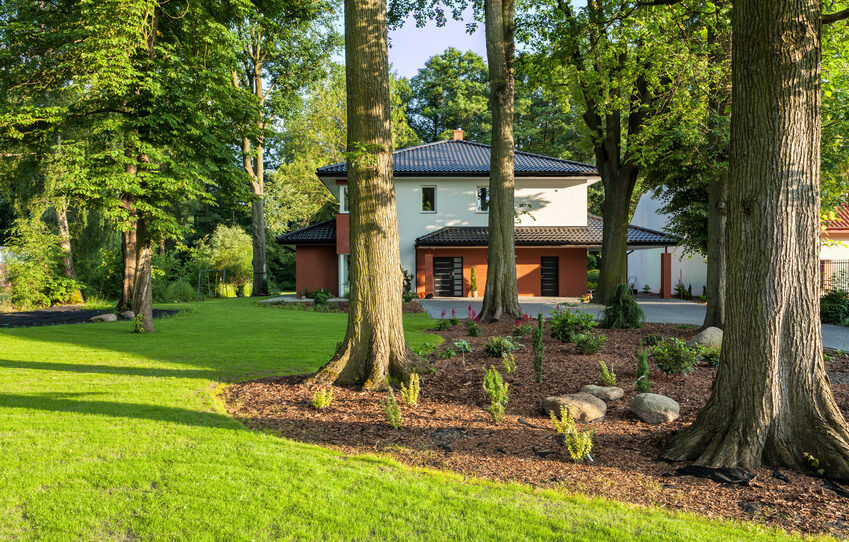 Abattage d'arbres, élagage et plus - Service d'arbres Rive-Sud