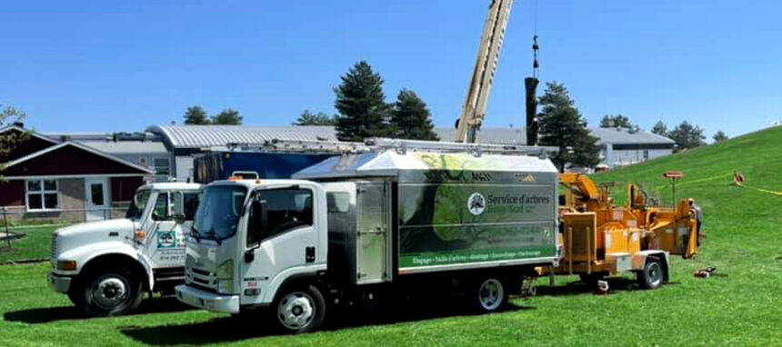 Abattage d'arbres, élagage et plus - Service d'arbres Rive-Sud